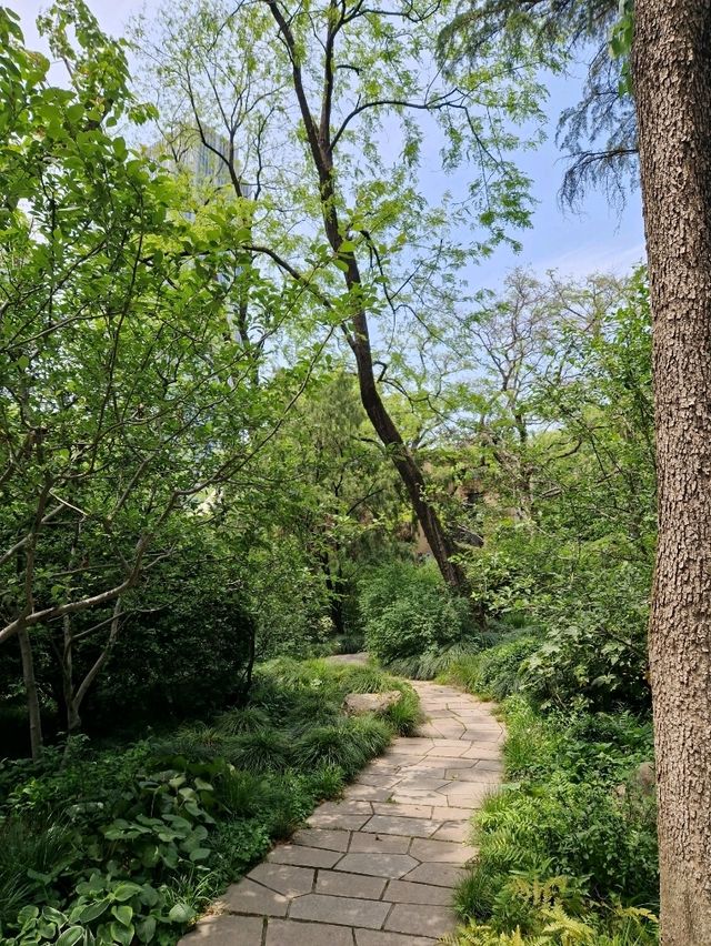 Shanghai Serenity🌳 | Trip.com Shanghai