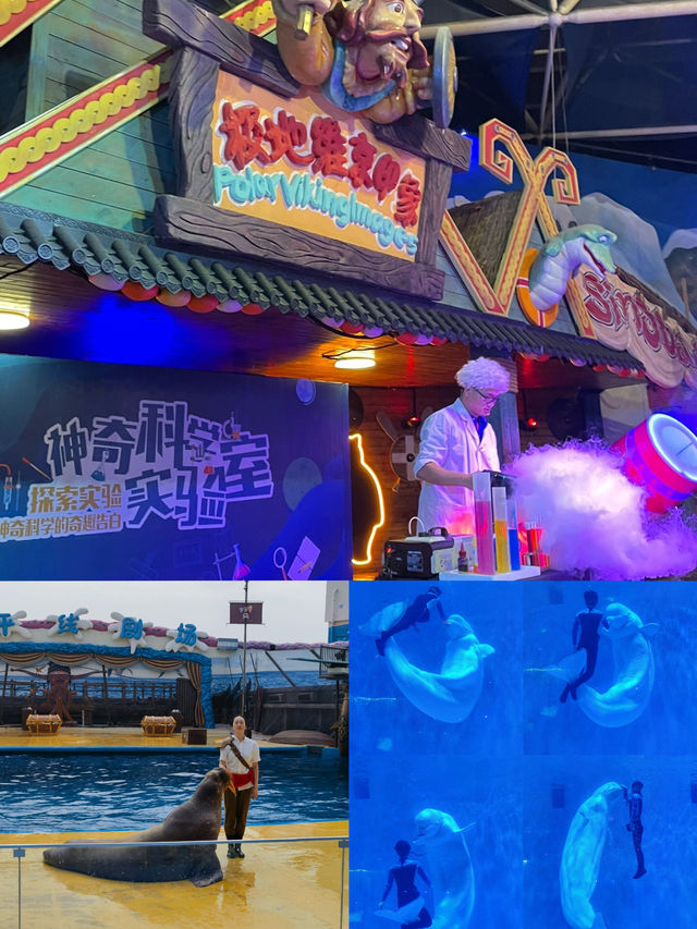 Qingdao Polar Ocean Park Guide! | Trip.com Qingdao