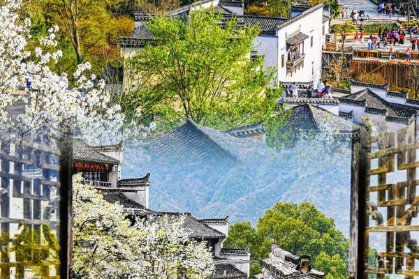 Spring's ultimate ceiling! Wuyuan in March and April is unbelievably ...