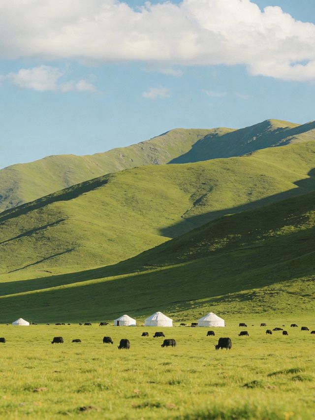 Lanzhou → Xiahe → Zhagana → Langmusi, 5 Days 4 Nights Gannan Secret ...