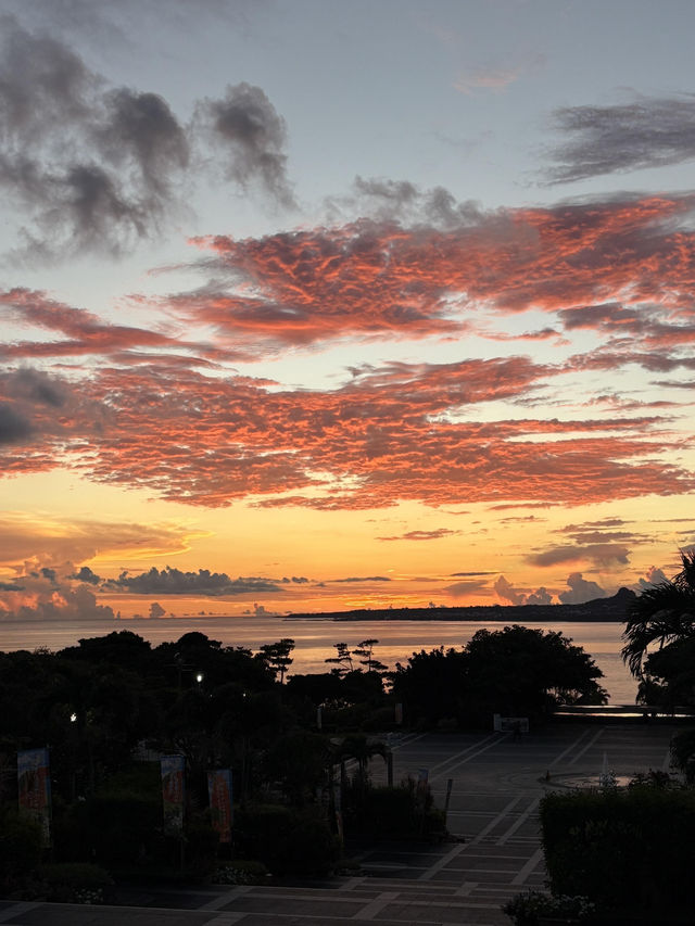 I Listen to Gentle Autumn Winds in Motobu Seaside Pines | Trip.com Motobu