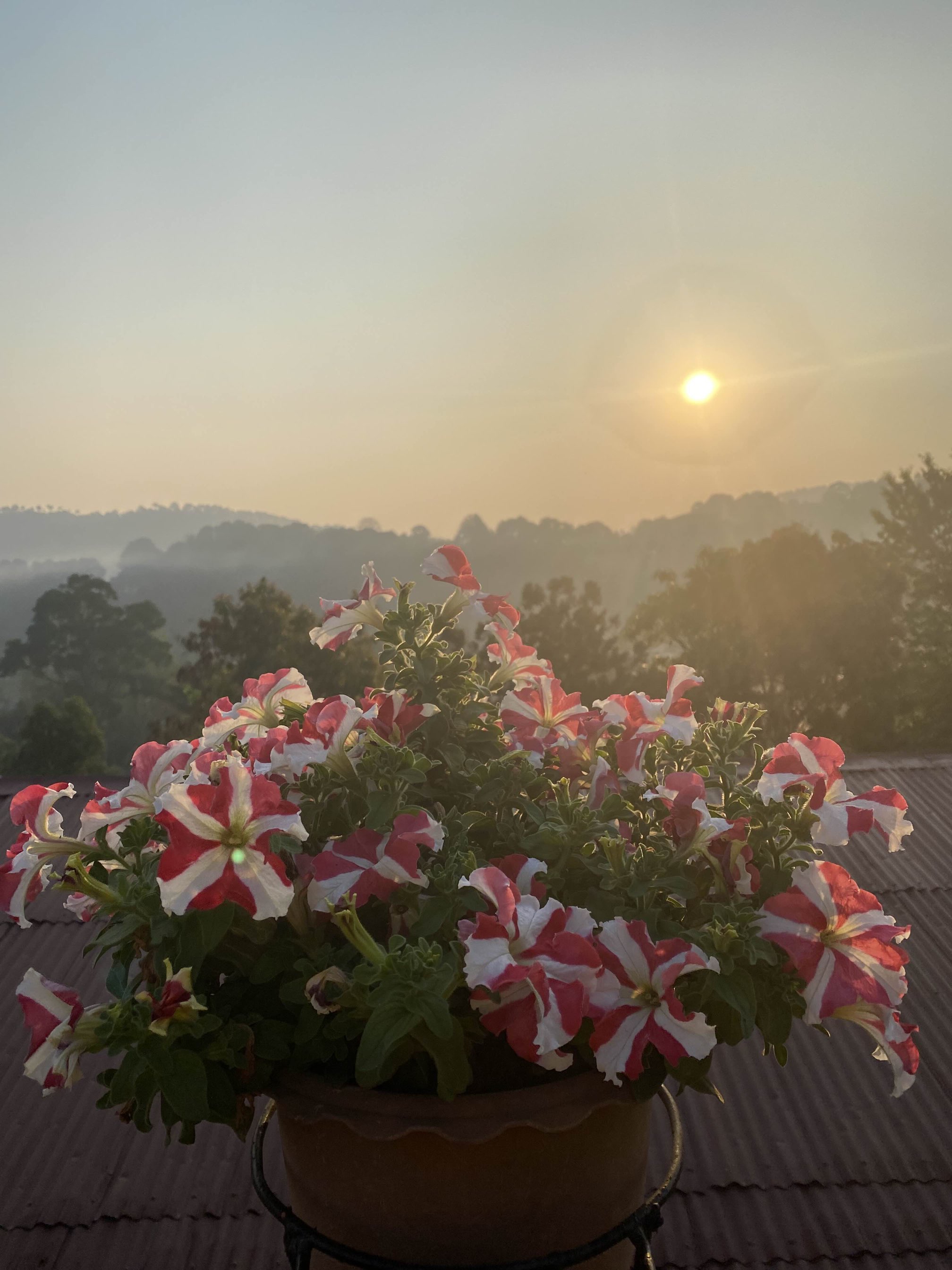 Kalaw Travel Guide 2024 - Things to Do, What To Eat & Tips | Trip.com