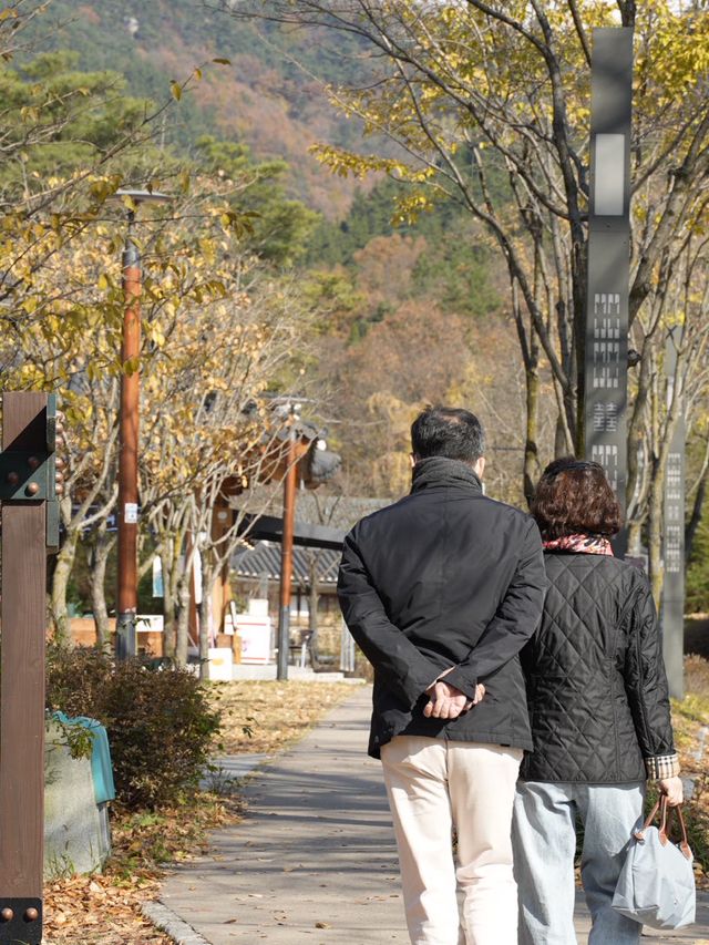 Daegu's hidden gem, Otgol Village🍂🍁 | Trip.com Daegu