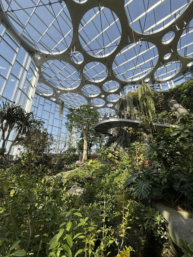 Shanghai Greenhouse Garden - You Have to See This. | Trip.com Shanghai
