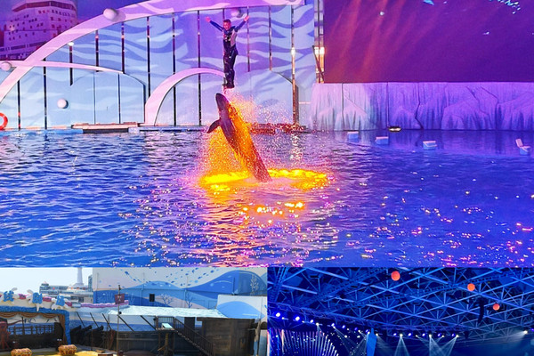 Qingdao Polar Ocean Park Guide! | Trip.com Qingdao