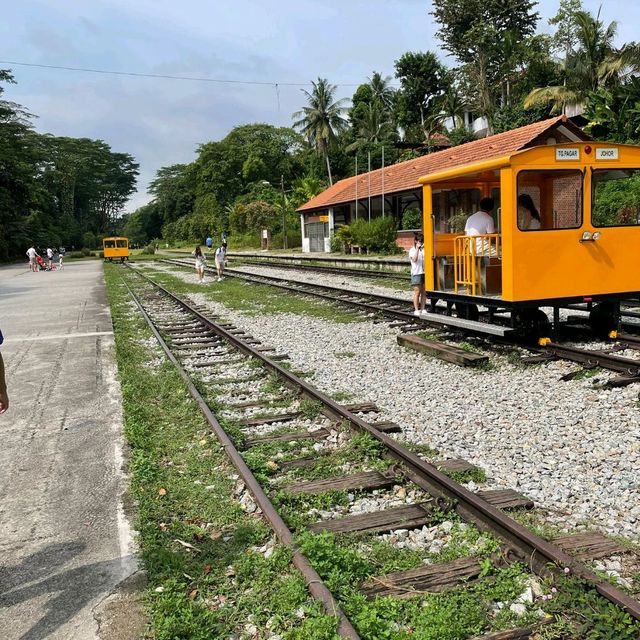 Rail Corridor hike | Trip.com Singapore
