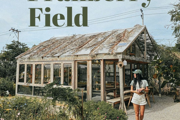 คาเฟ่น่ารักต้องแวะที่ปราณบุรี "Pranberry Field" | Trip.com อำเภอ ปราณบุรี