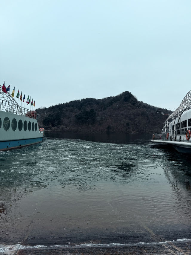 Nami Island · A Winter Love Story ️🤍 | Trip.com Chuncheon-si