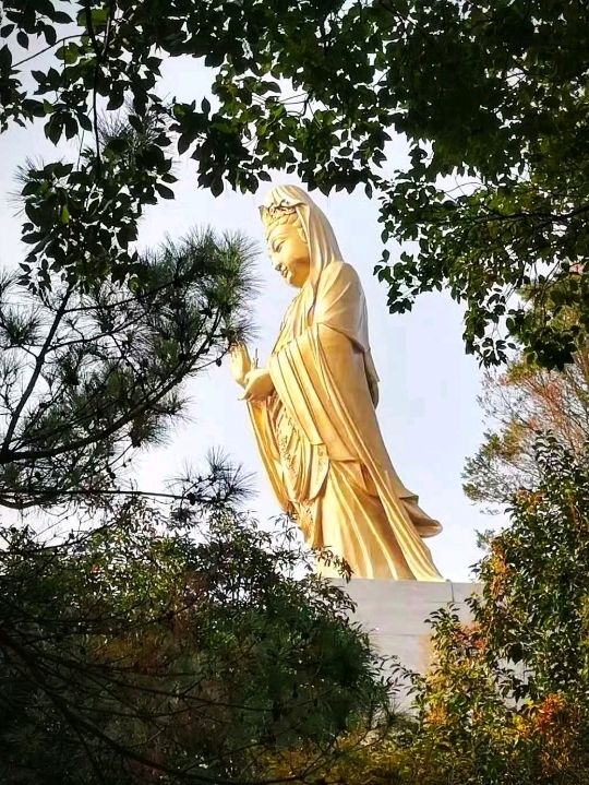 Mount Putuo — Where the Sea Meets Compassion | Trip.com Zhoushan