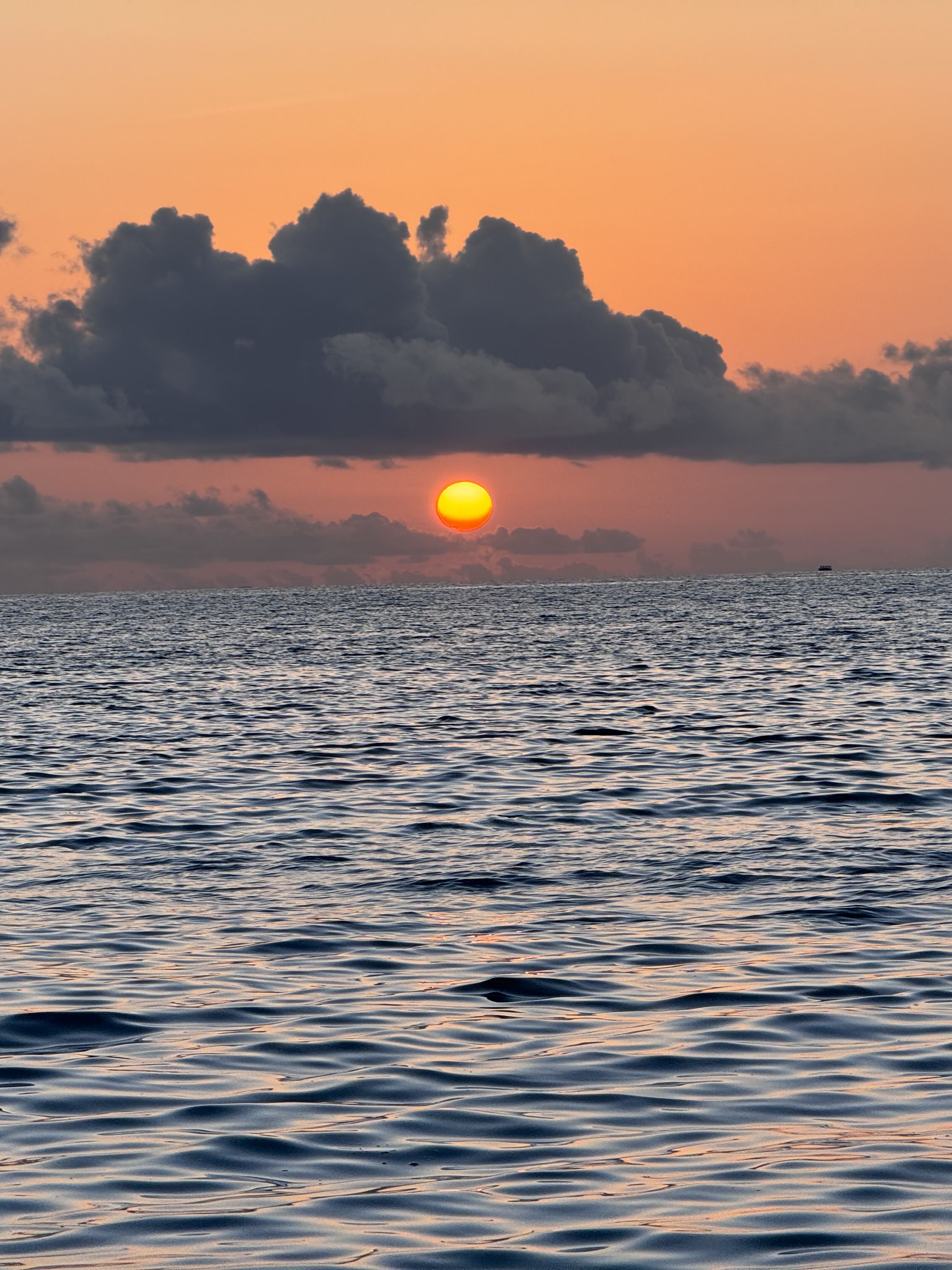 Things to Do in Alif Dhaal Atoll in 2025 - Top Attractions, Local Food ...