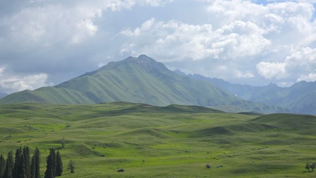 唐布拉 百里畫廊 草原隱秘皇冠｜Trip.com 尼勒克