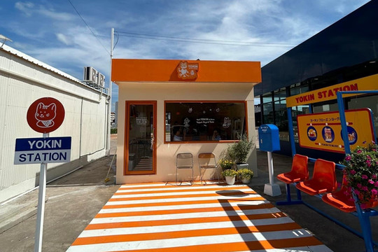 Yokin Frozen Yogurt🍦🧡 คาเฟ่ไอศกรีมโยเกิร์ตเปิดให | Trip.com ขอนแก่น