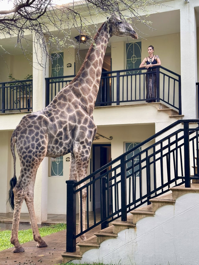 Royal Livingstone Hotel | Trip.com Livingstone