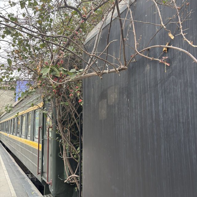 The Ultimate 6-Day Chengdu Travel Itinerary. | Trip.com Chengdu