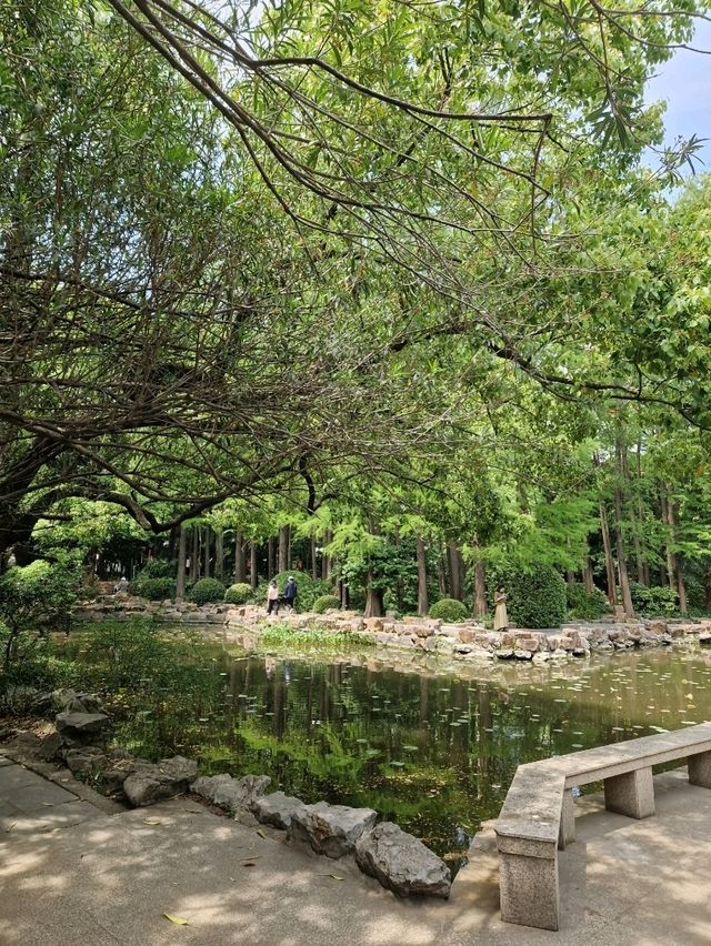 3 days in Shanghai 🗺🧭🌎 | Trip.com Shanghai