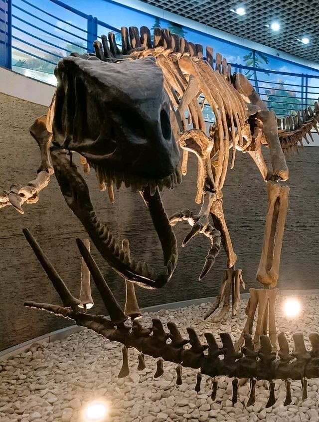 Fossil Finds Wow🦕 | Trip.com Beijing