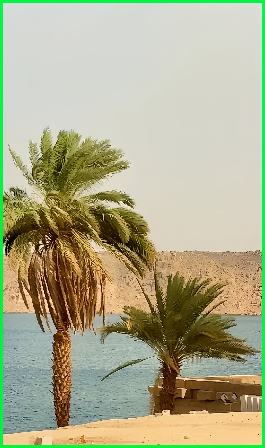 Things to Do in New Cairo City in 2025 - Top Attractions, Local Food ...