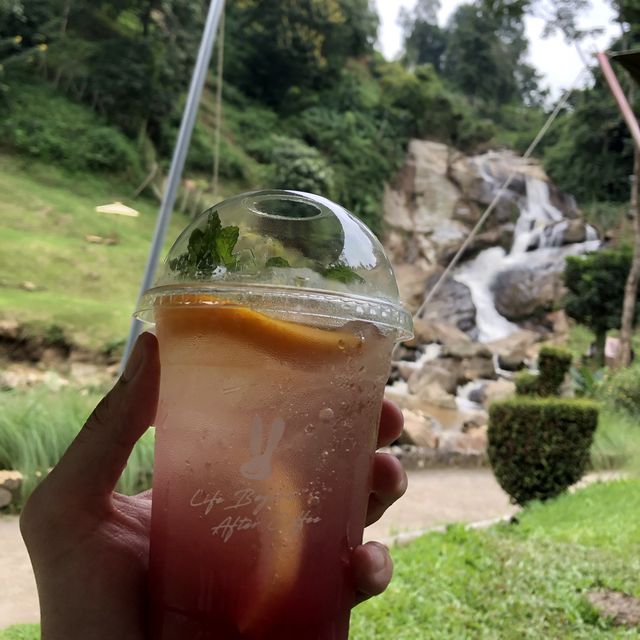 WTF Coffee Camp, Chiang Mai, Thailand 🇹🇭 | Trip.com Chiang Mai Ancient City