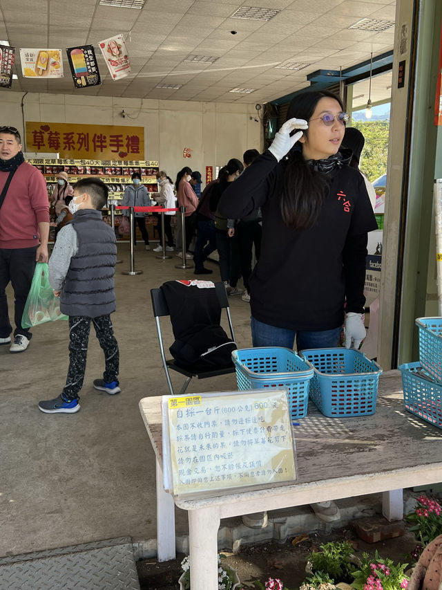 Dahu Strawberry Farm | Trip.com Taiwan