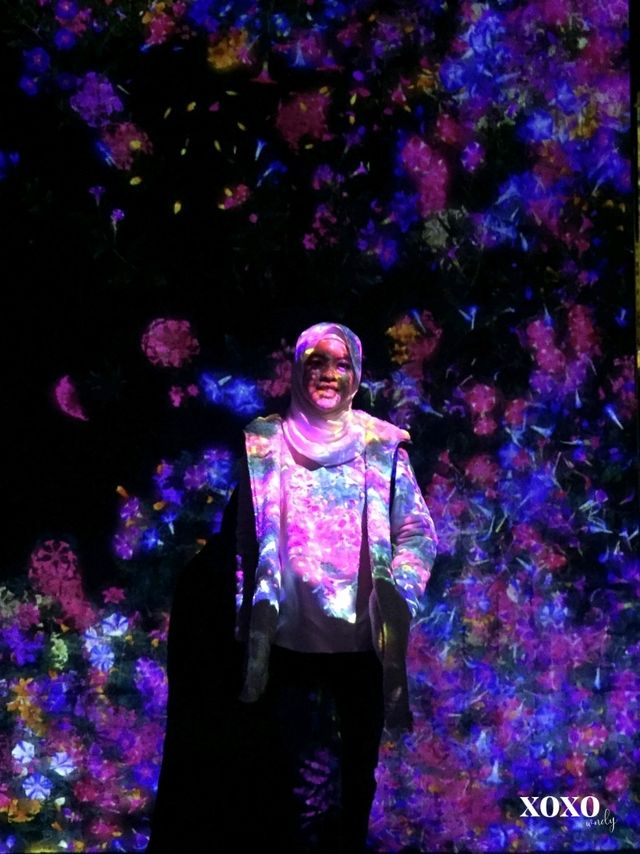 The Best Interactive Art and Light Museum | Trip.com Tokyo