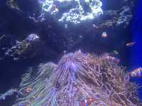 Akuarium Sendai Umino-Mori yang Wajib Dikunjungi | Trip.com Sendai