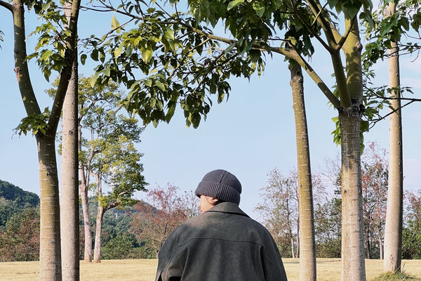 Qingxiu Mountain in Nanning is a stunning place to stroll in winter ...