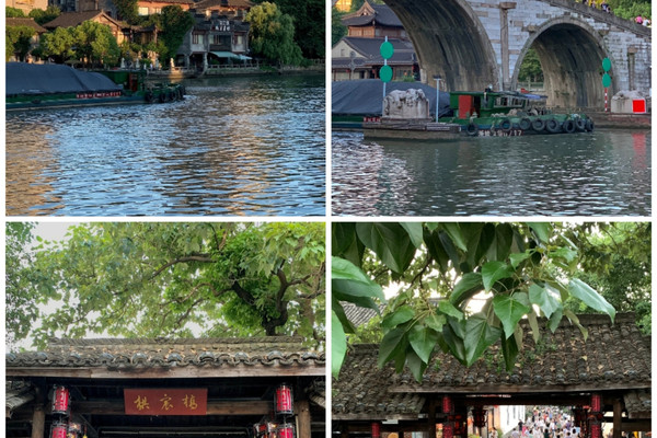 Hangzhou Spring Flower Viewing City Stroll | Trip.com Hangzhou