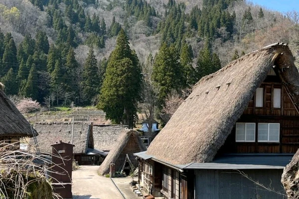 Japanese real life folk village | Trip.com Nanto Travelogues