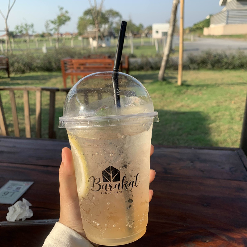 Barakat Lunla Land - บารอกัตลั้นลาแลนด์ คาเฟ่&ฟาร์ | Trip.com เขตหนองจอก