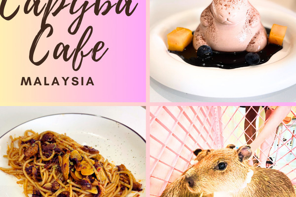 Capyba Cafe Charms with Cuteness and Cuisine! | Trip.com Johor Bahru