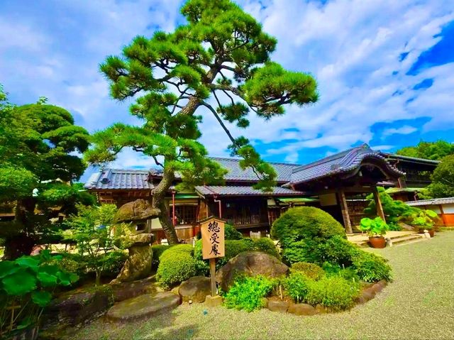 Gotokuji Temple – The Birthplace of the Lucky Maneki-Neko | Trip.com Tokyo
