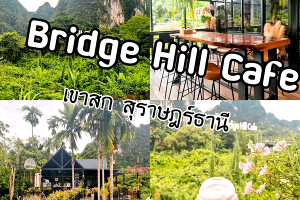 Bridge Hill Cafe ⛰️🍀 คาเฟ่วิวเขาสก | Trip.com อำเภอ พนม
