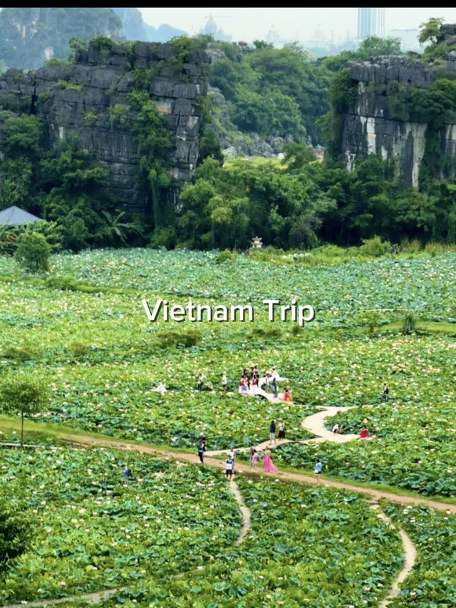 Winter Green Escape🍃 | Trip.com