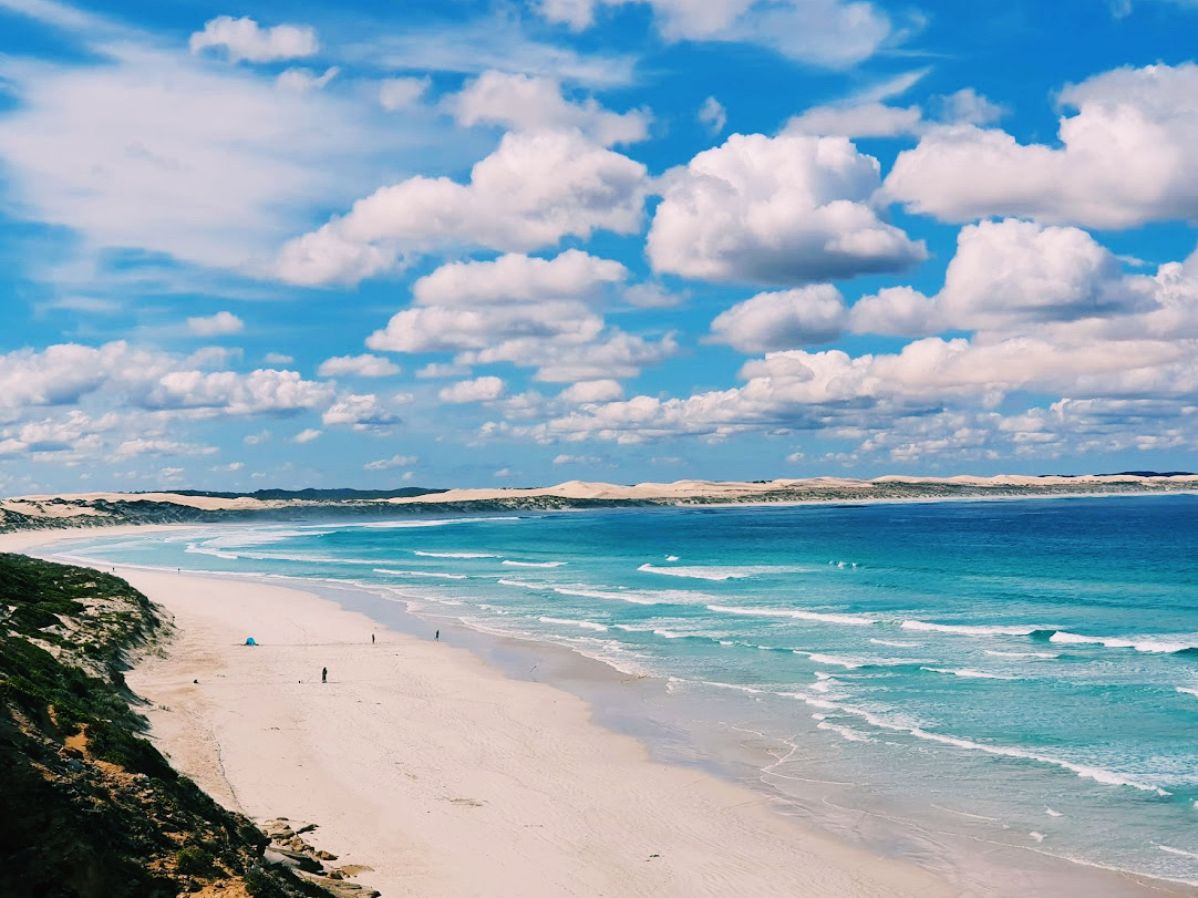 Things to Do in Coffin Bay in 2025 - Top Attractions, Local Food ...