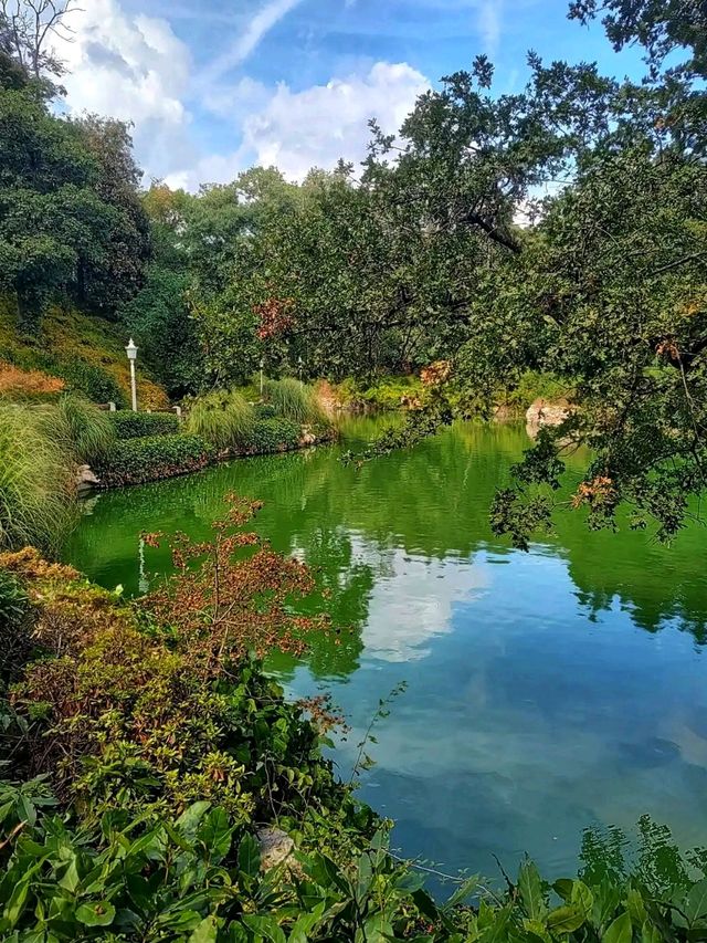 🌳 Yıldız Park – A Green Oasis in Istanbul | Trip.com Istanbul
