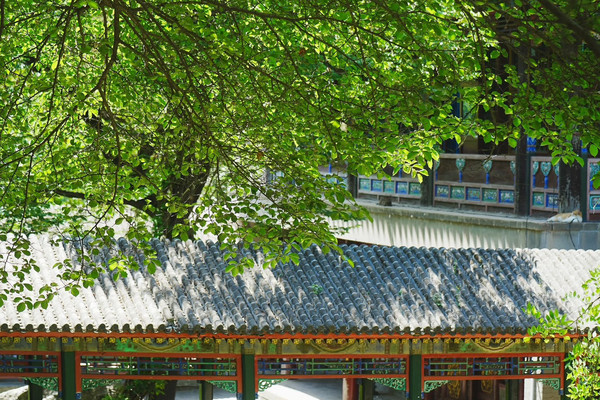 Corridor Magic | Trip.com Beijing