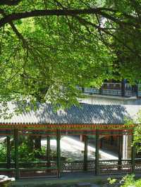 Corridor Magic | Trip.com Beijing