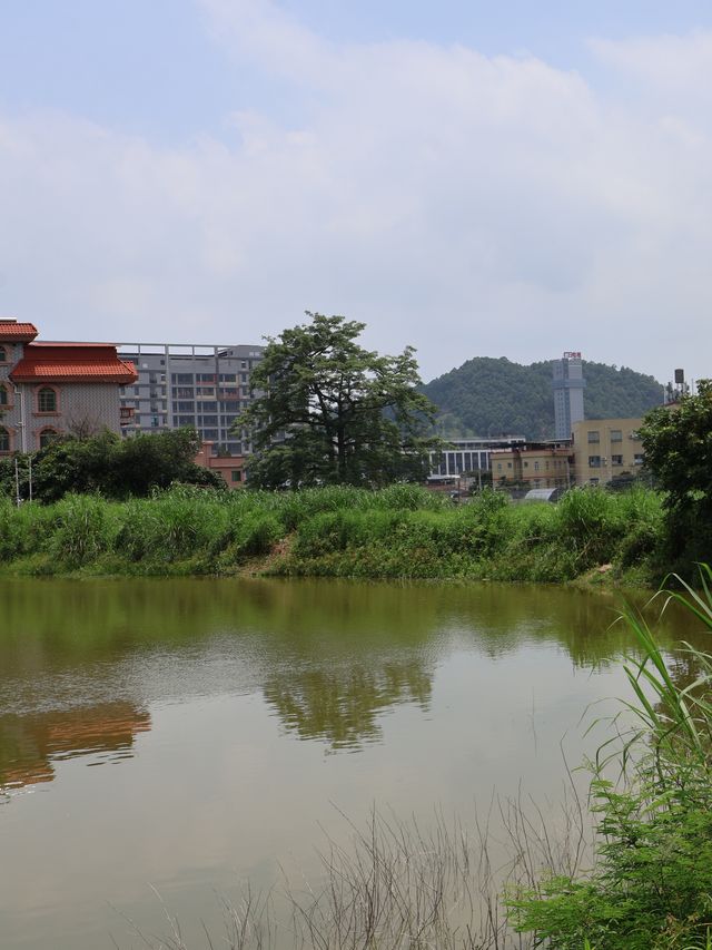大嶺村全天深度路線，古建非遺田園風光一網打盡｜Trip.com 廣州