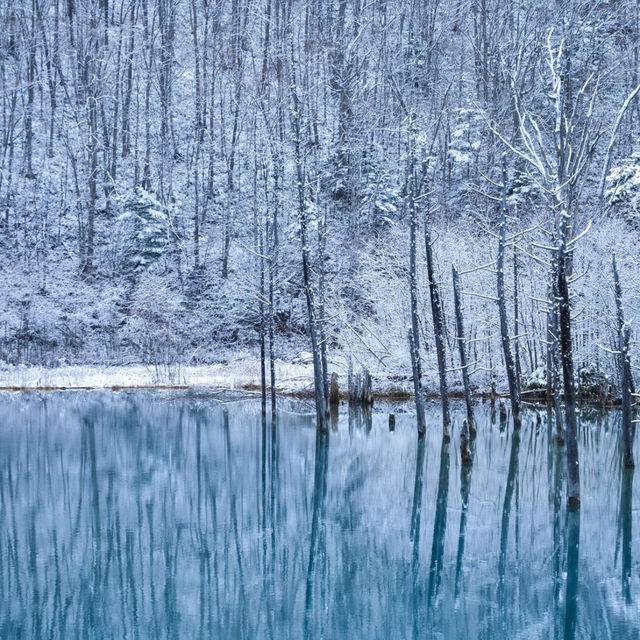 Shirogane Blue Pond—nature’s masterpiece in the heart of Hokkaido 💙 ...