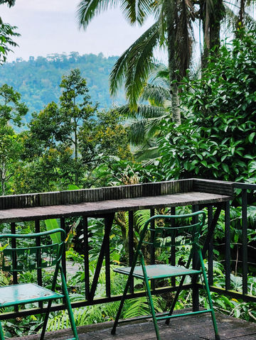 Bali Jungle Camping | Trip.com Tabanan