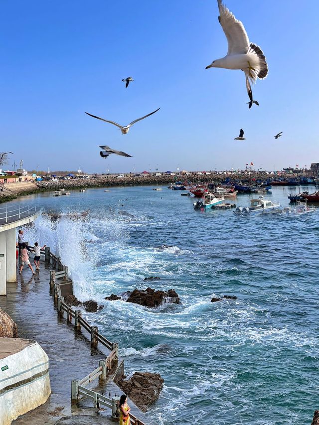 The most comprehensive guide to sea views in Dalian! ! !(With routes ...