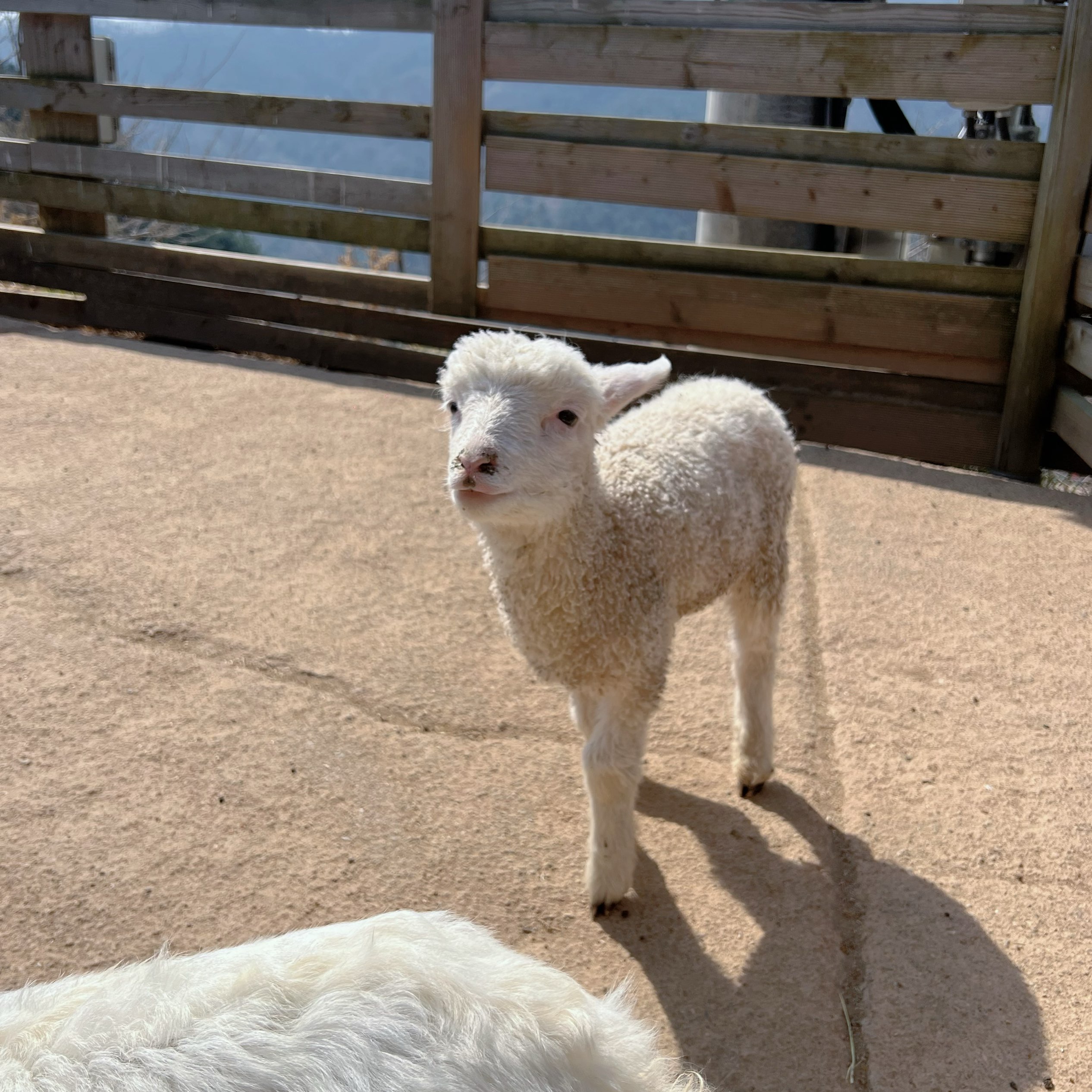 Hongcheon-gun Travel Guide 2024 - Things to Do, What To Eat & Tips ...