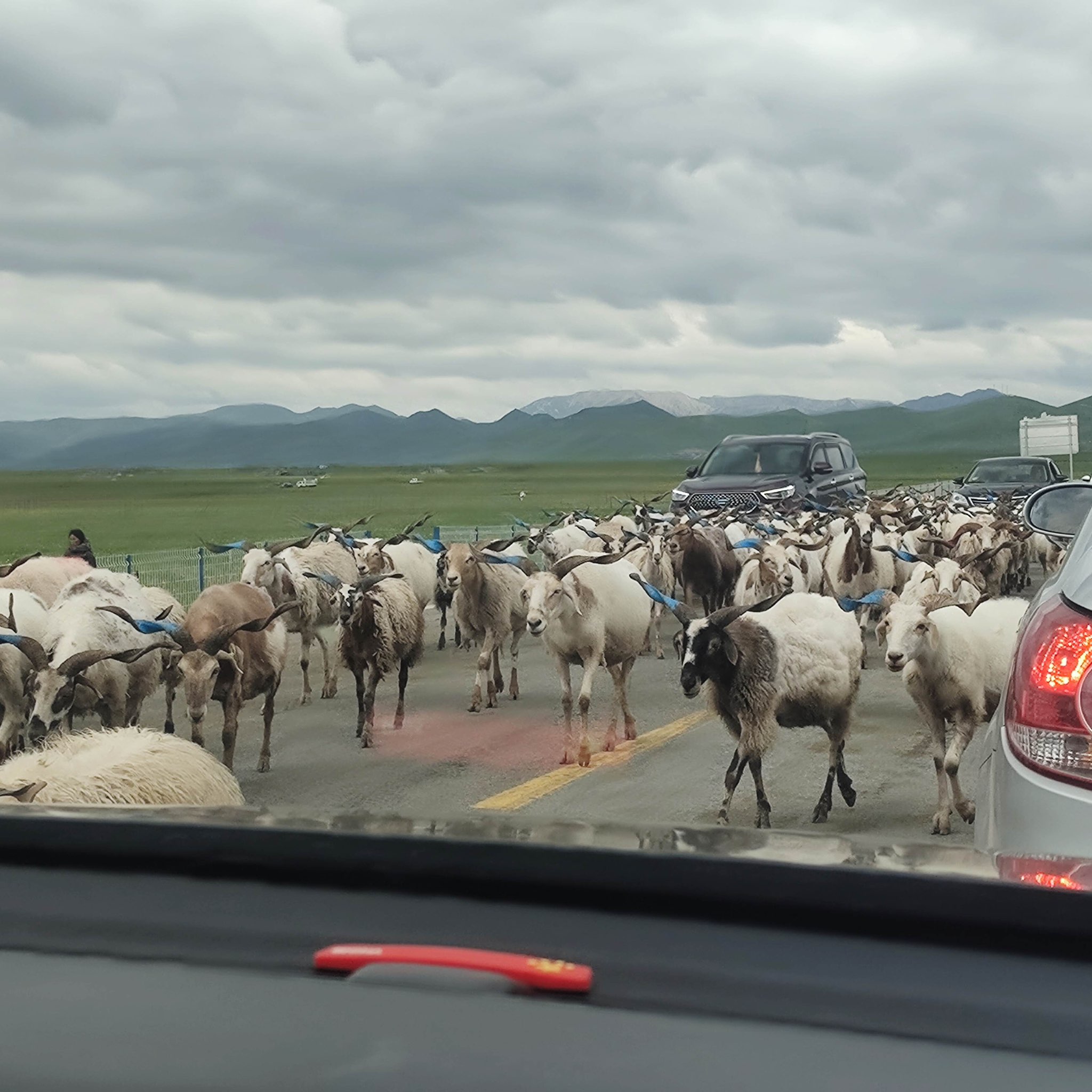 Gansu Travel Guide 2023 - Things to Do, What To Eat & Tips | Trip.com