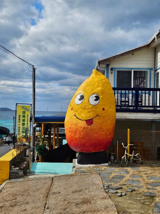 Scenic stroll on AEWOL CAFE STREET. | Trip.com Jeju City