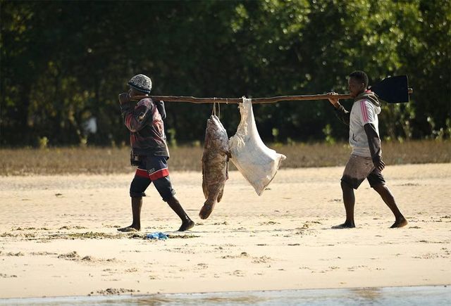 Mozambique Coast Adventure: A Dreamy Place to Dance with Whales | Trip ...