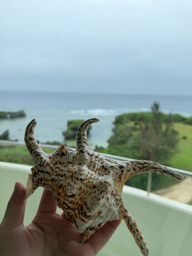 Discover Okinawa's most beautiful cape | Enjoy the clear sky and sea ...