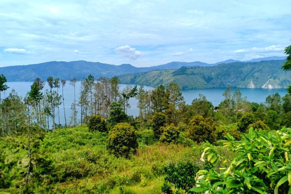🇮🇩 Parhallow Viewpoint overlooking Lake Toba, Samosir Island | Trip.com ...