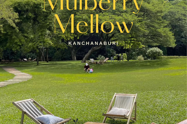 Mulberry Mellow กาญจนบุรี | Trip.com กาญจนบุรี