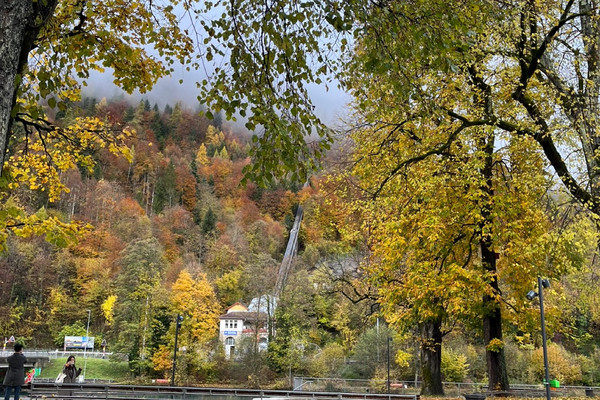 Autumn in Switzerland | Trip.com Interlaken