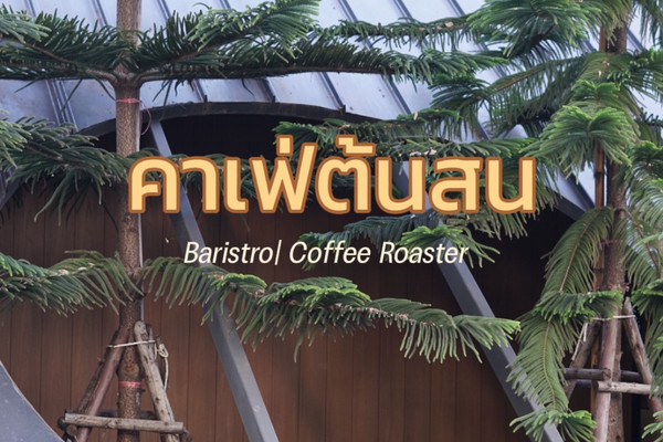 🌲คาเฟ่ต้นสน “The Baristro Coffee Roaster" | Trip.com เชียงใหม่